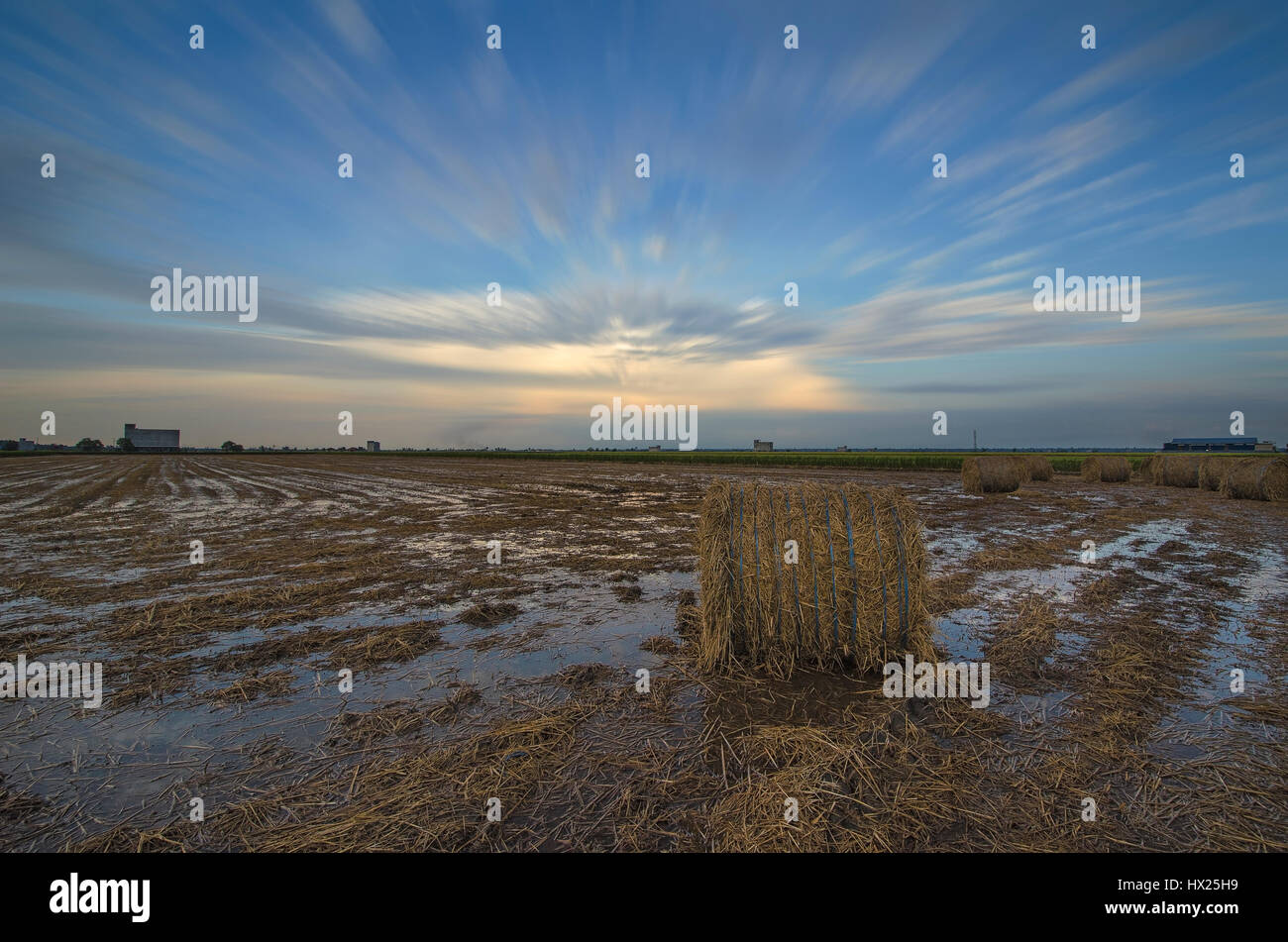 Beautiful Of Sekinchan Paddy Field Stock Photo - Alamy