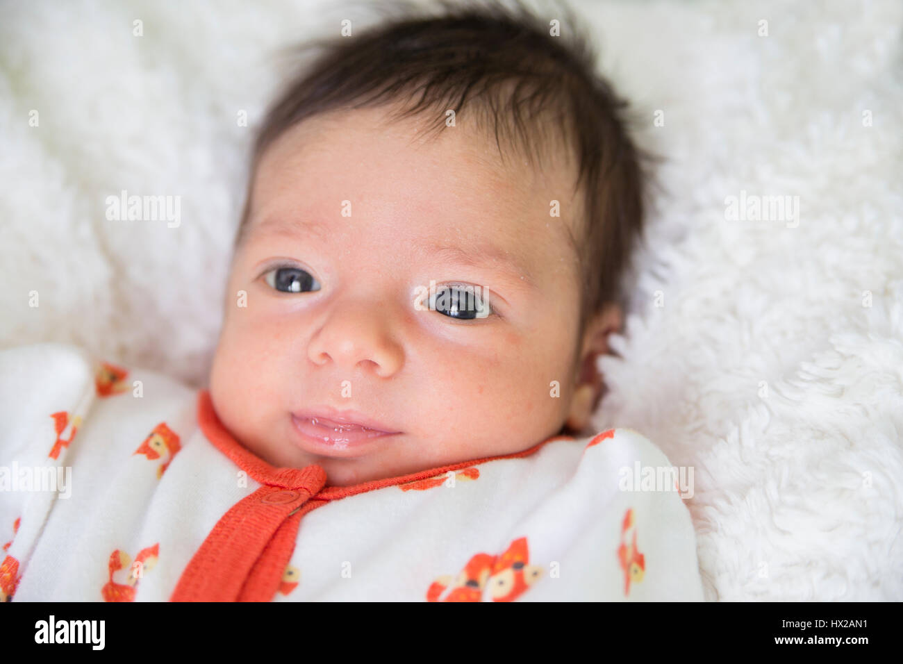 Cute baby boy Stock Photo - Alamy
