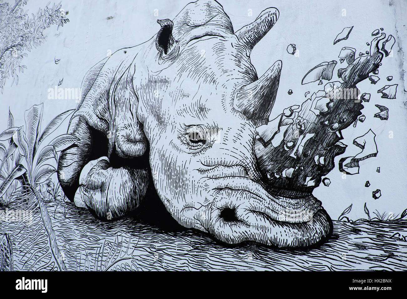 Big Rhino Horn Drawing