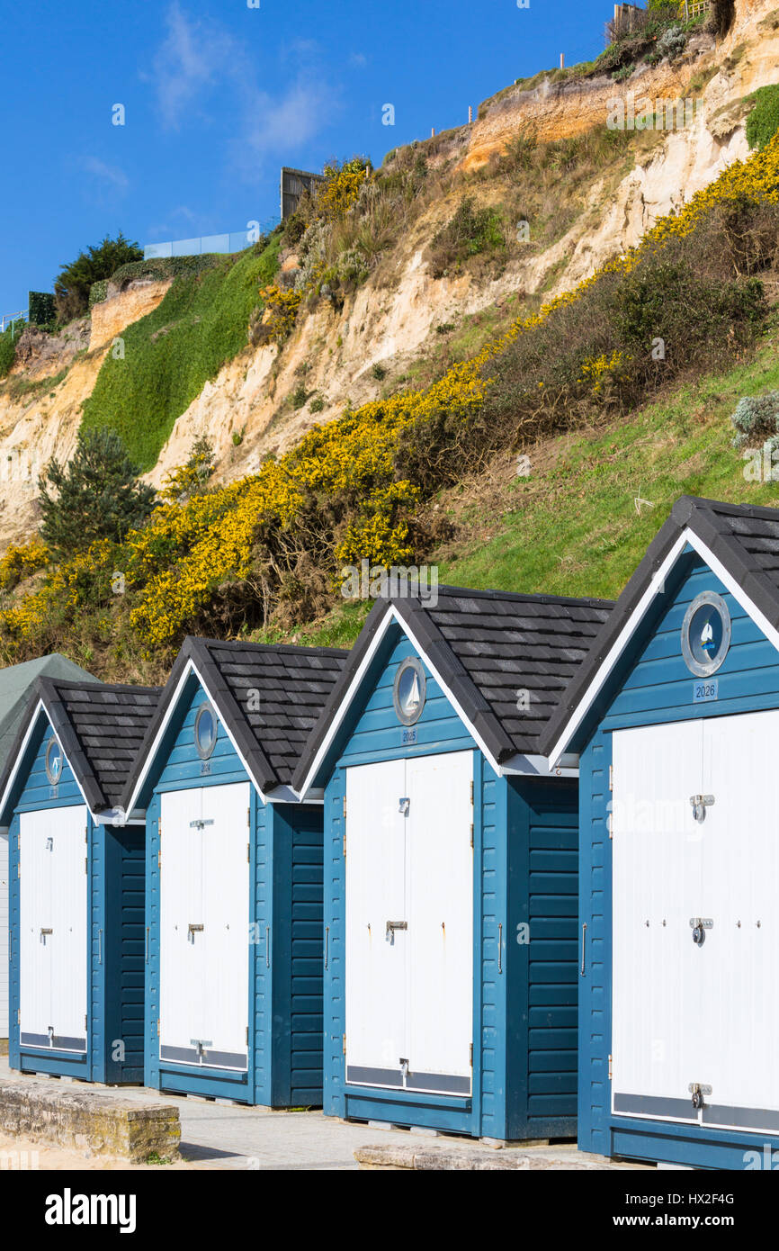 Beach huts at Alum Chine, Bournemouth, Dorset in March Stock Photo - Alamy