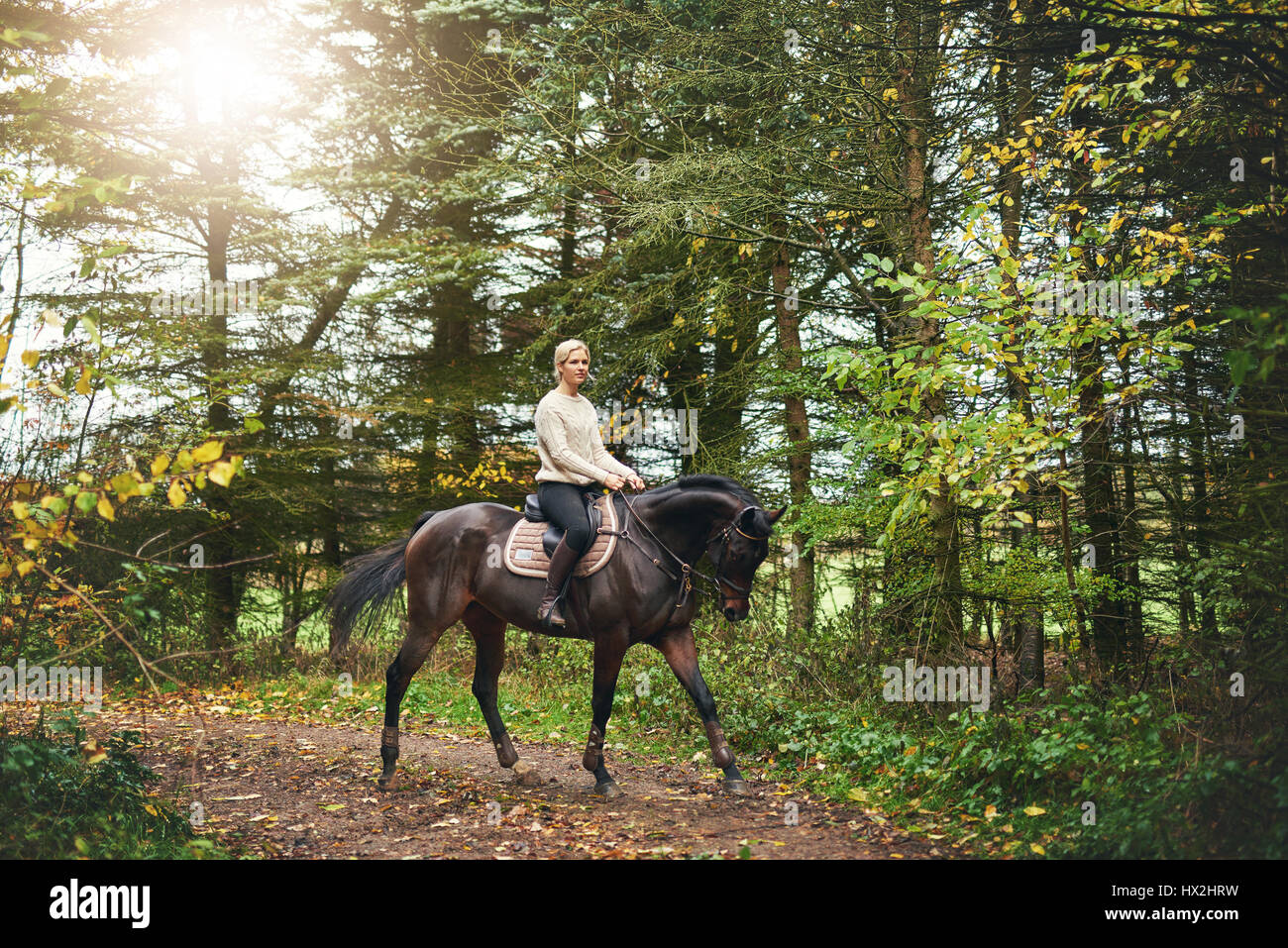 Full size portrait of a woman riding a horse in the park Stock Photo ...