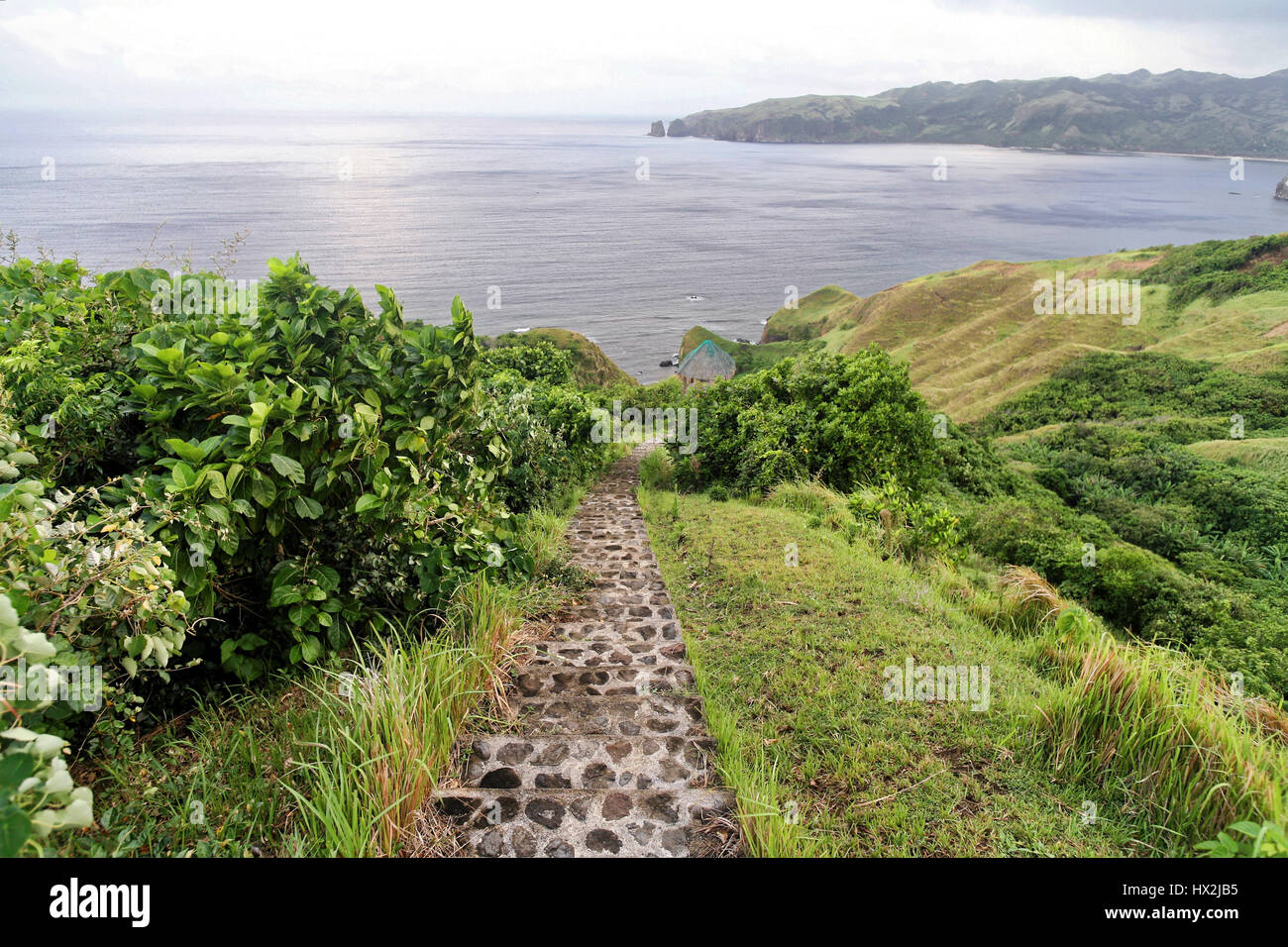 Dark early morning in the rain hi-res stock photography and images - Alamy
