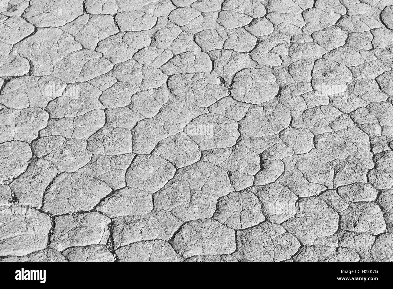 Monochrome mud texture of drying prism desiccation cracks in soil Stock ...