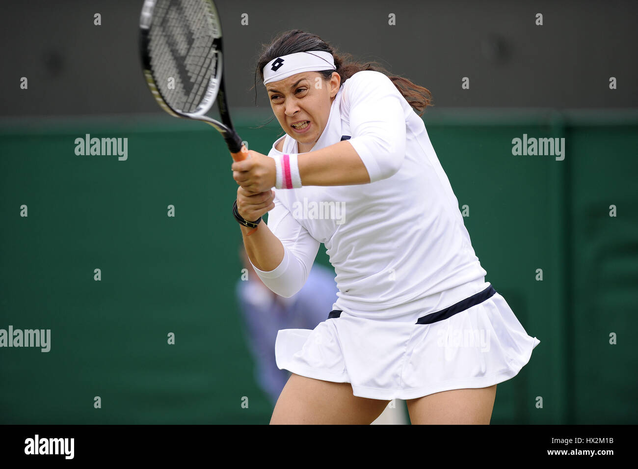 Marion bartoli hi-res stock photography and images - Alamy