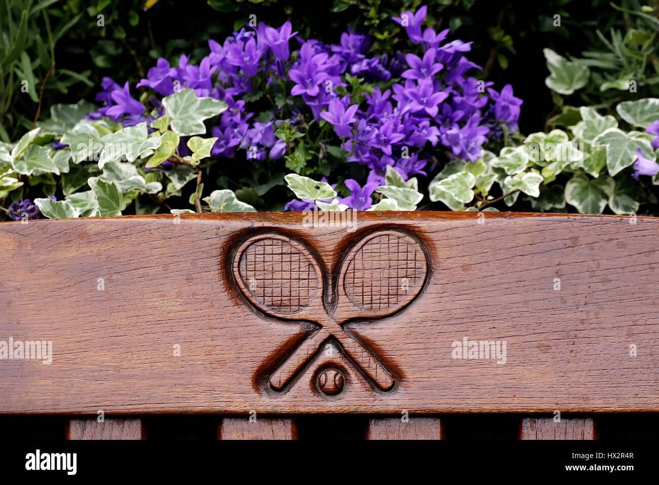 Tennis Fore Hand High Resolution Stock Photography and Images - Alamy