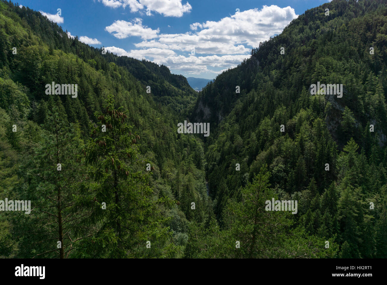 Beautiful lush forests Kvacianska Valley in Slovakia Stock Photo - Alamy