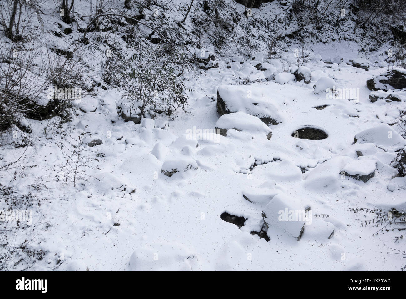 Mountain snowy landscape with rocks and vegetation in winter Stock ...