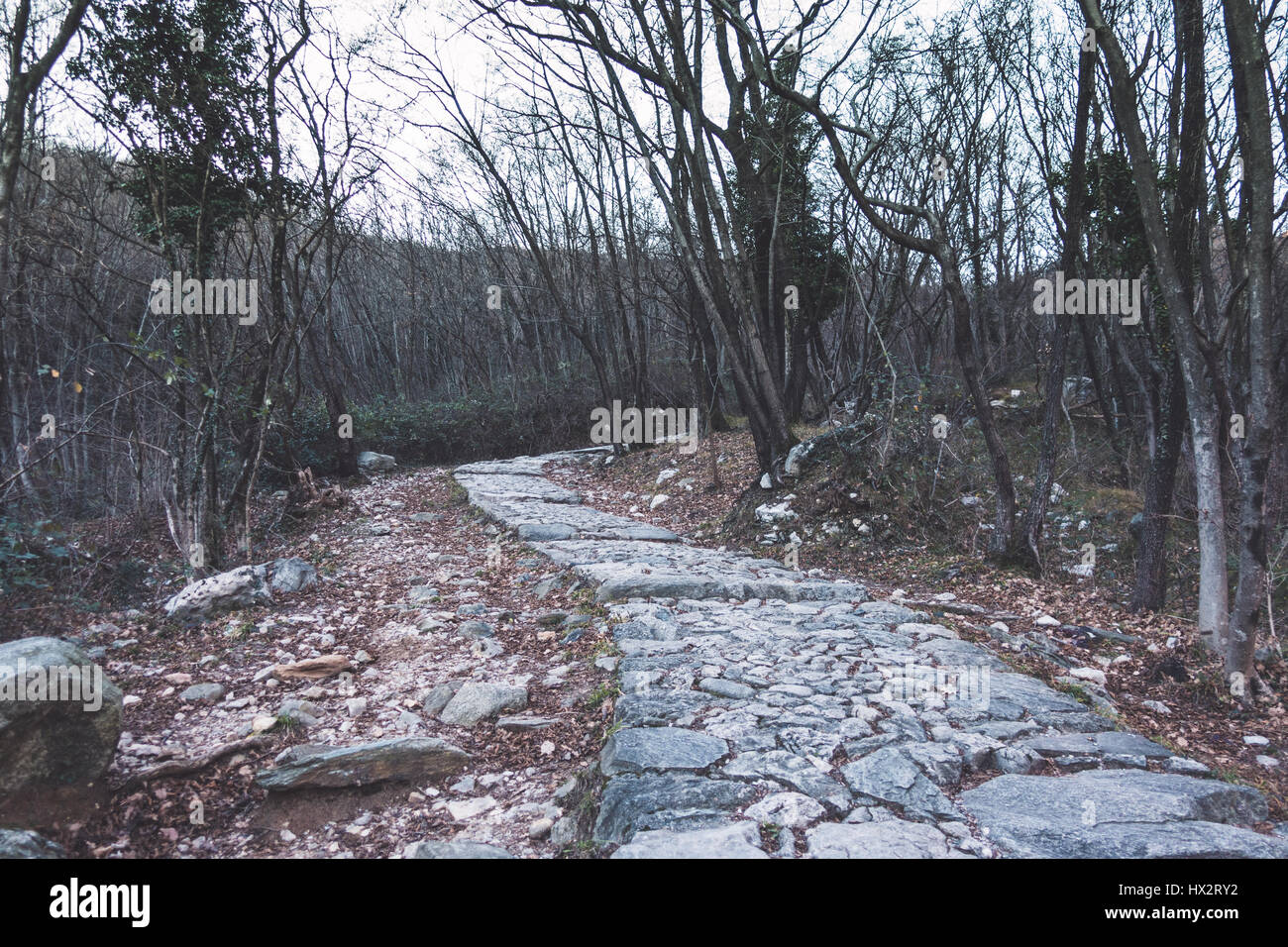 Stairs in yellow mountain hi-res stock photography and images - Alamy