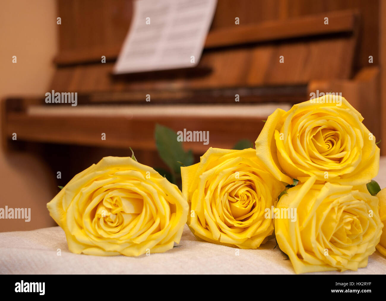Gorgeous yellow roses on background of piano with sheet music Stock ...