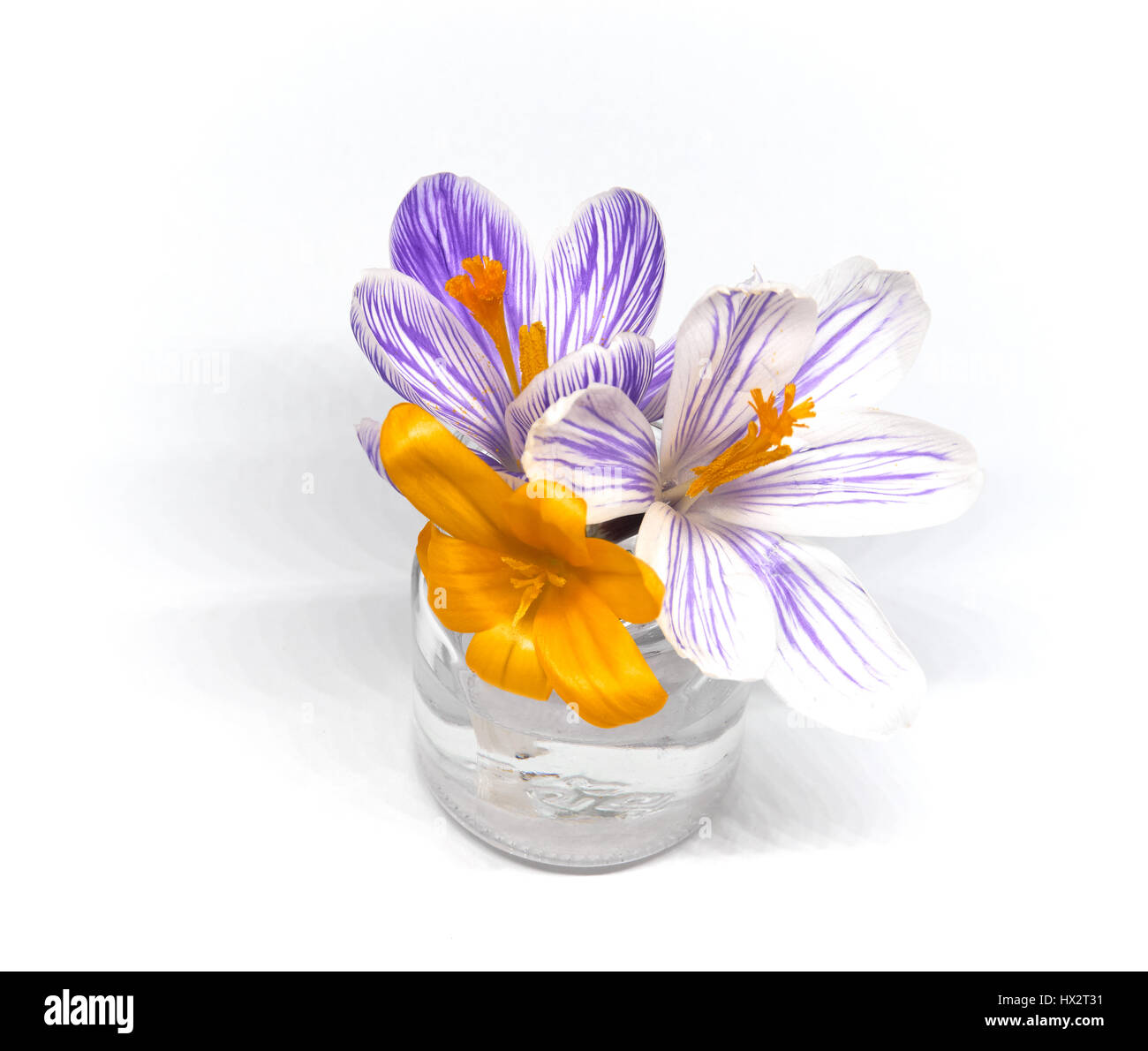 Beautiful natural water spring Cut Out Stock Images & Pictures - Alamy