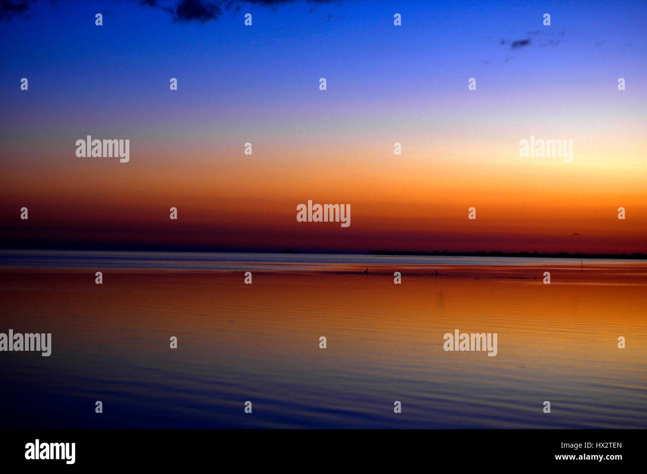 sunset in Florida Stock Photo - Alamy