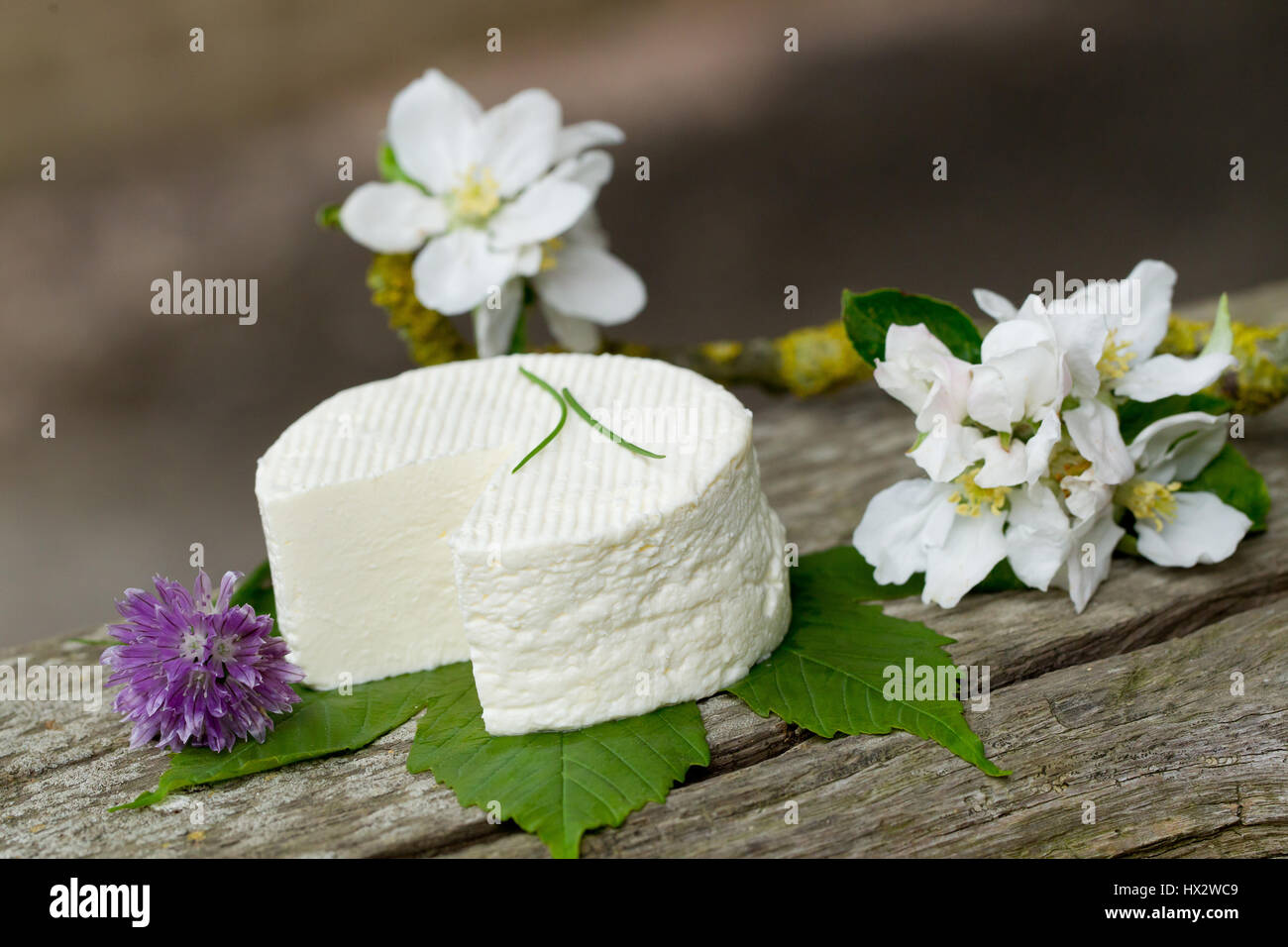 Land of cheese hi-res stock photography and images - Alamy