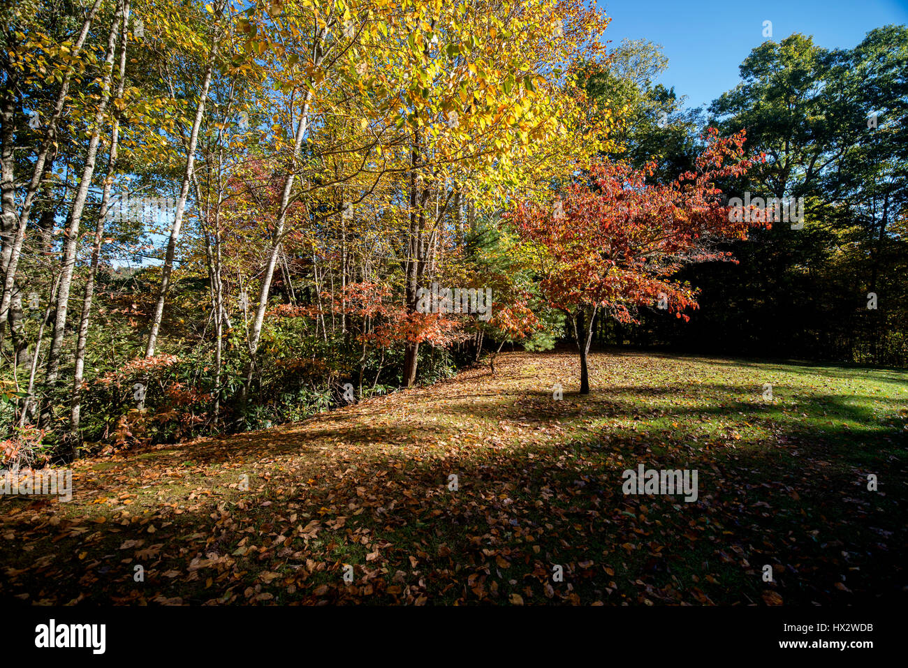 Mountain sides hi-res stock photography and images - Alamy