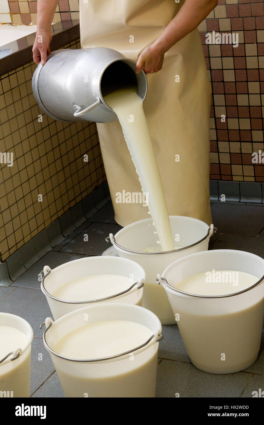 Cheese: fresh unpasteurized milk Stock Photo - Alamy