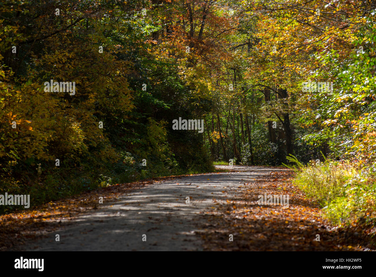 Old dirt road hi-res stock photography and images - Alamy