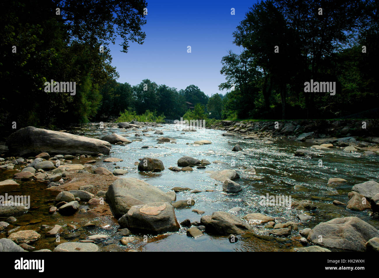 river with rocks lined trees Stock Photo - Alamy
