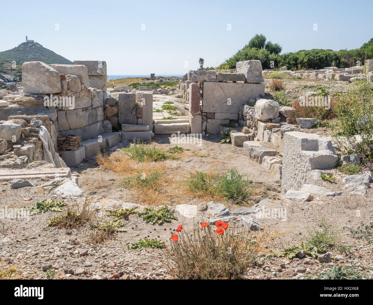 a view of circular Roman ruins under a clear blue sky with poppy flower ...