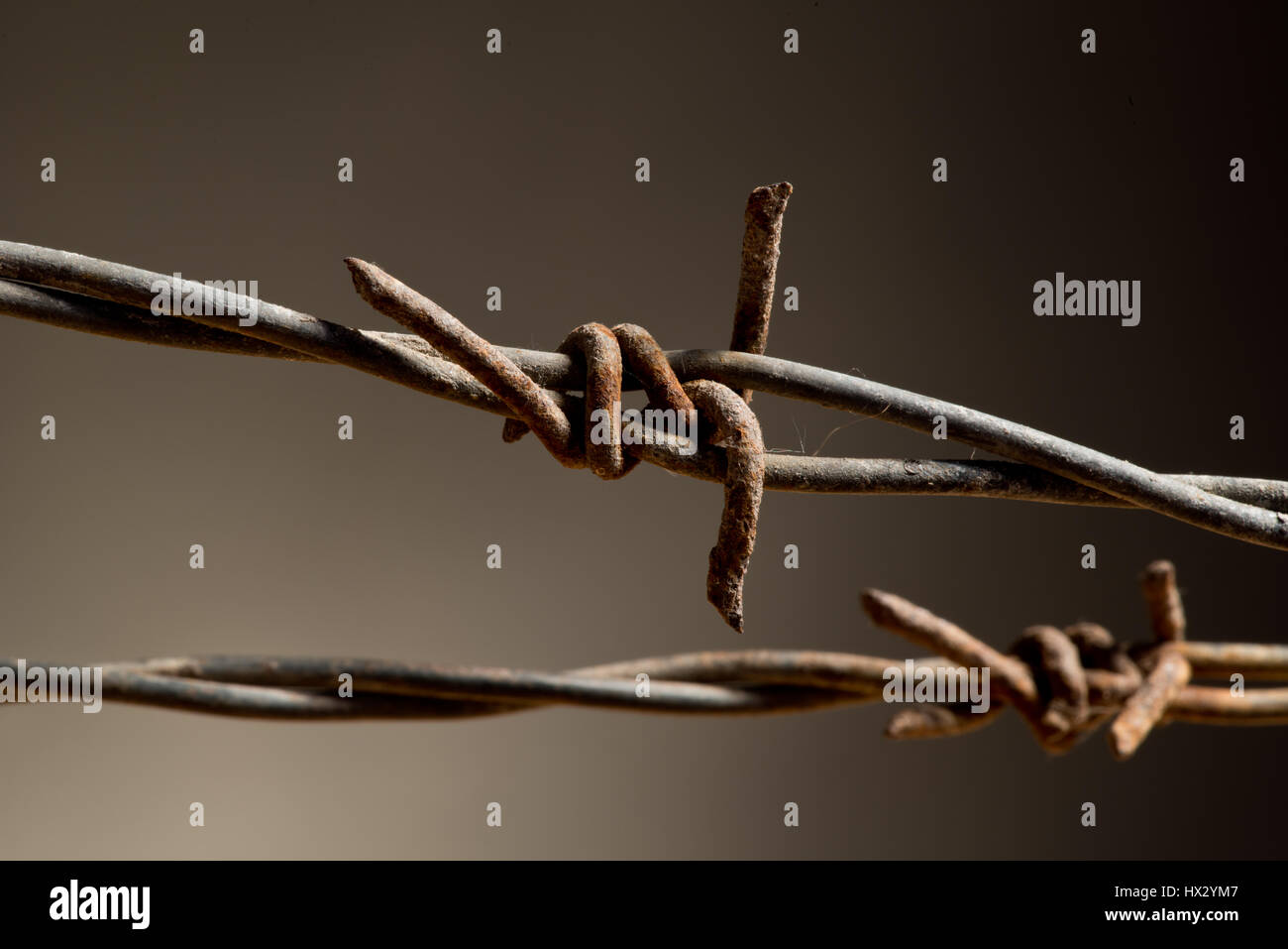 Detail Of Barbed Wire On The Dark Background Stock Photo - Alamy