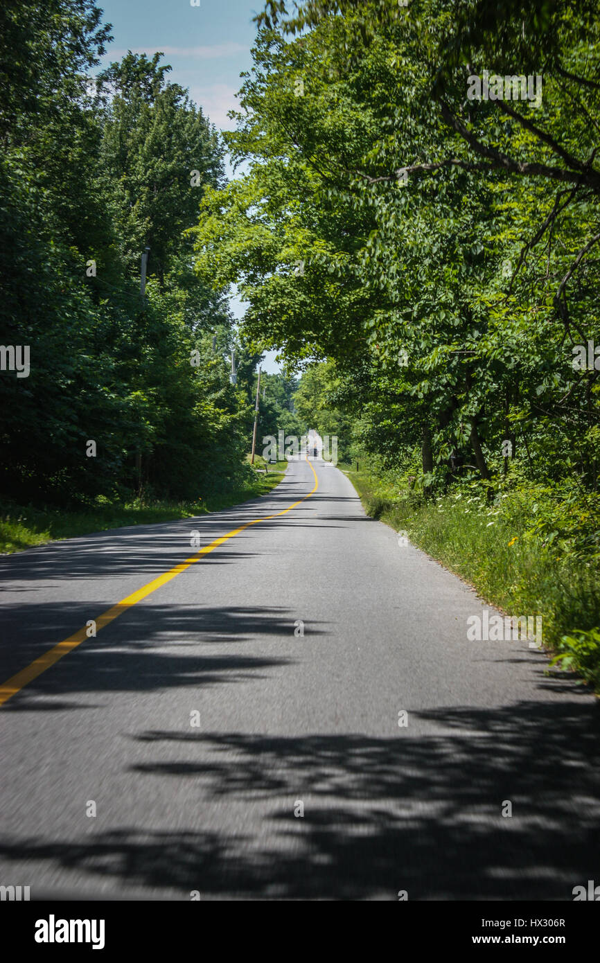 endless road in the forest Stock Photo - Alamy