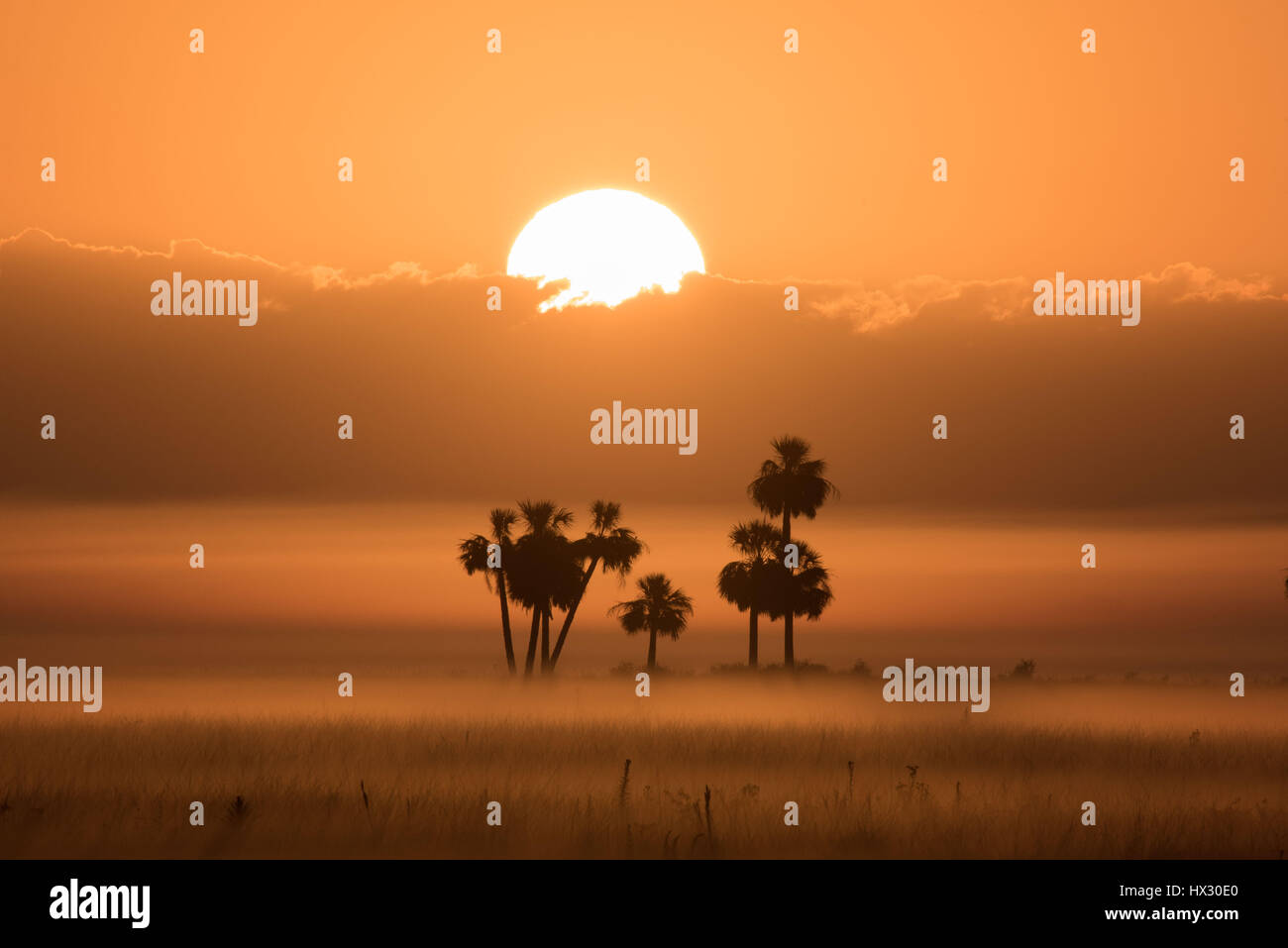 Morning sunrise sun sky early day light hi-res stock photography and ...