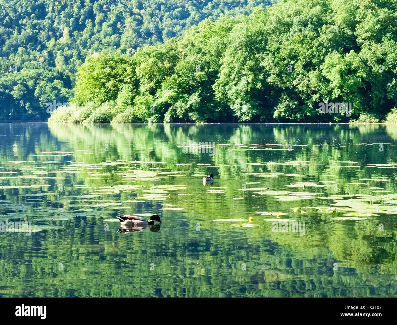 Carlazzo hi-res stock photography and images - Alamy