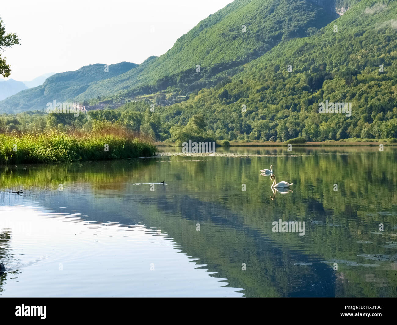 Carlazzo, Italy: Lake Piano is a small lake located in the Val Menaggio ...