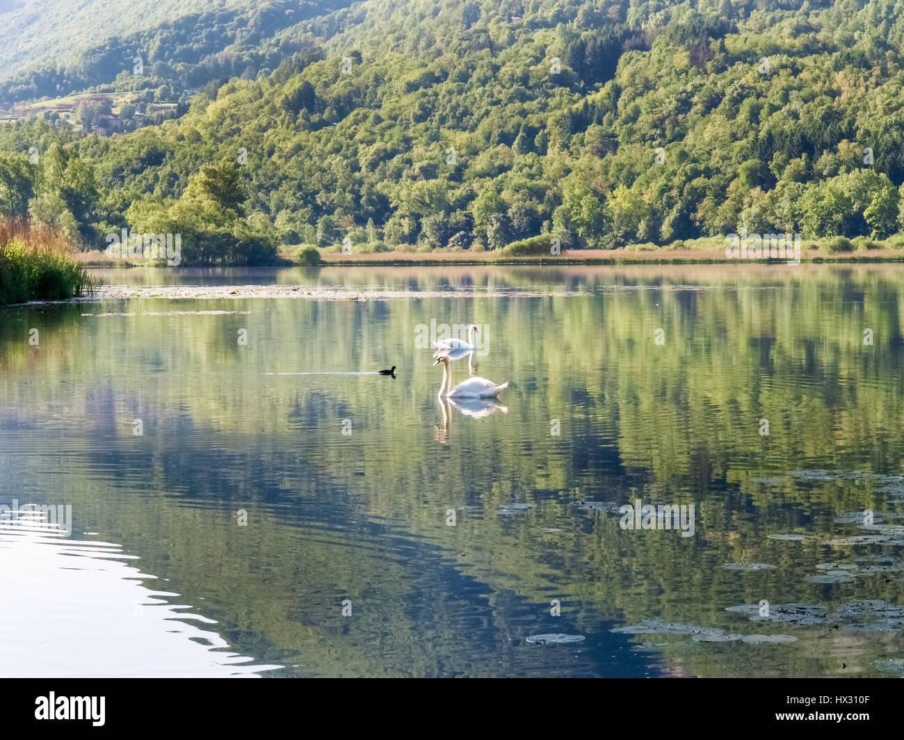 Carlazzo, Italy: Lake Piano is a small lake located in the Val Menaggio ...