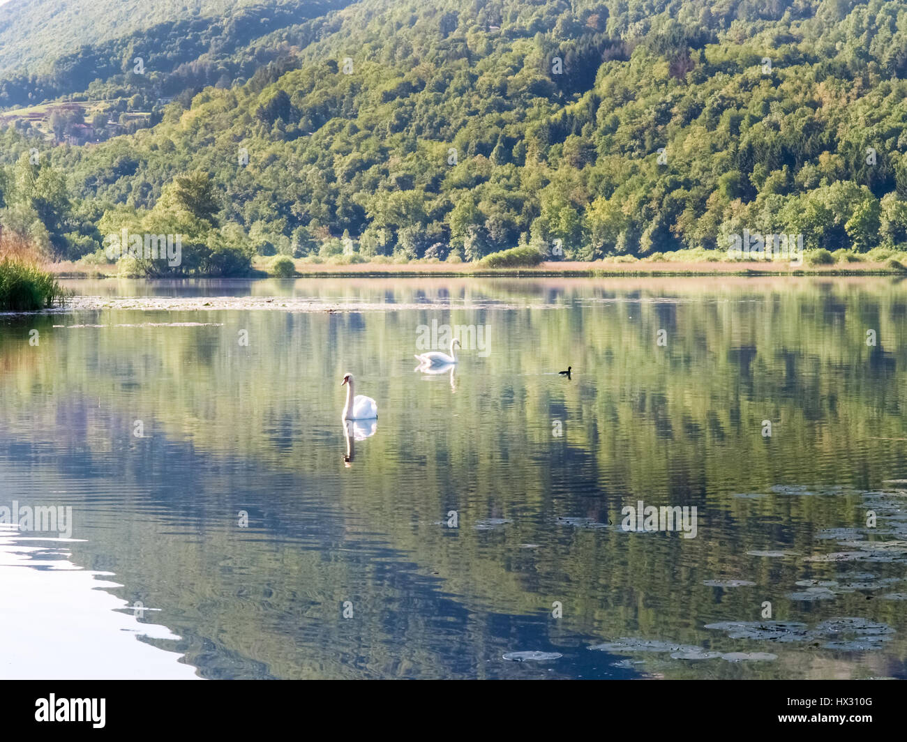 Carlazzo italy lake piano hi-res stock photography and images - Alamy