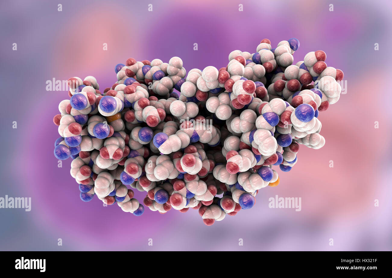 Interferon gamma, molecular model. Interferon gamma is produced by ...