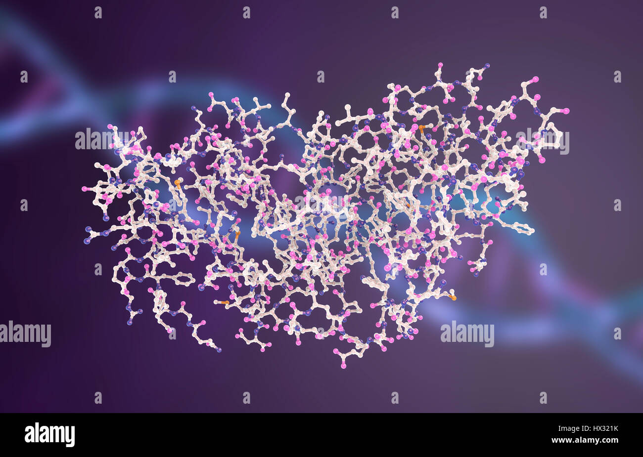 Interferon gamma, molecular model. Interferon gamma is produced by ...