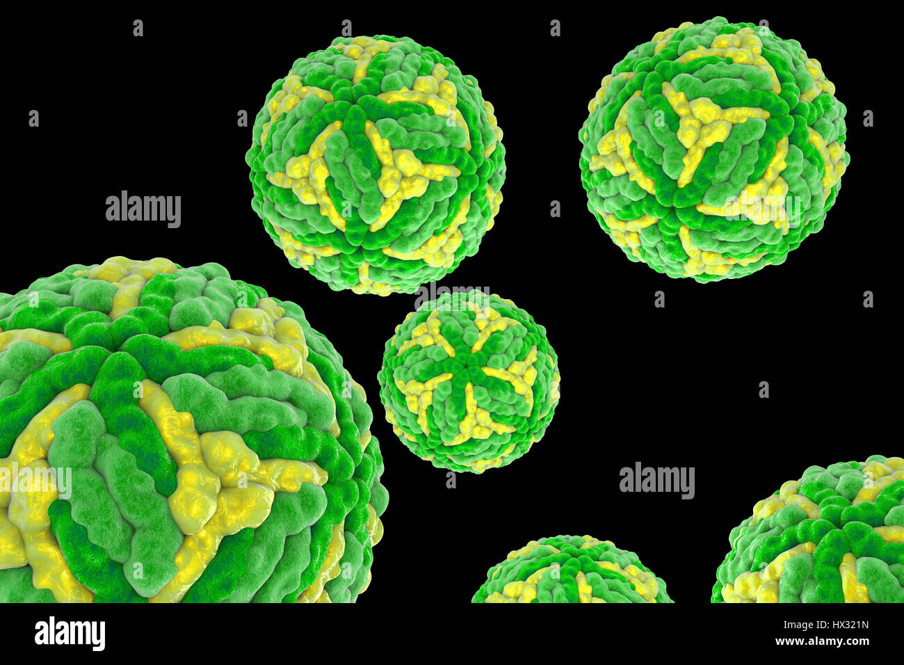 Japanese encephalitis virus (JEV), computer illustration. JEV is an RNA ...