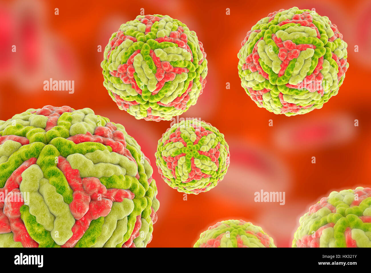 Destruction of Japanese encephalitis virus (JEV), computer illustration ...