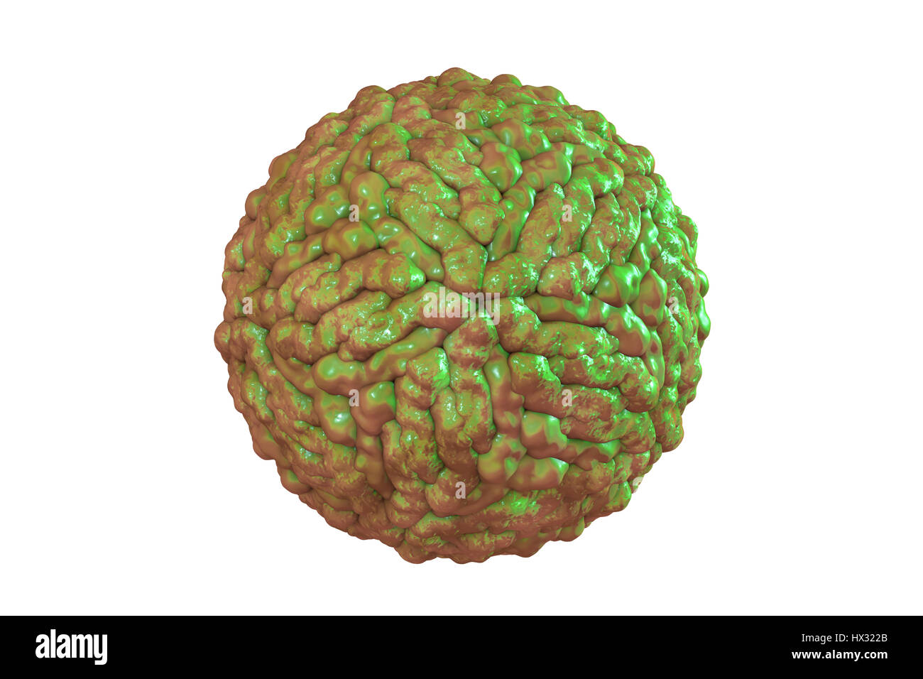 Hepatitis virus particle artwork hi-res stock photography and images ...