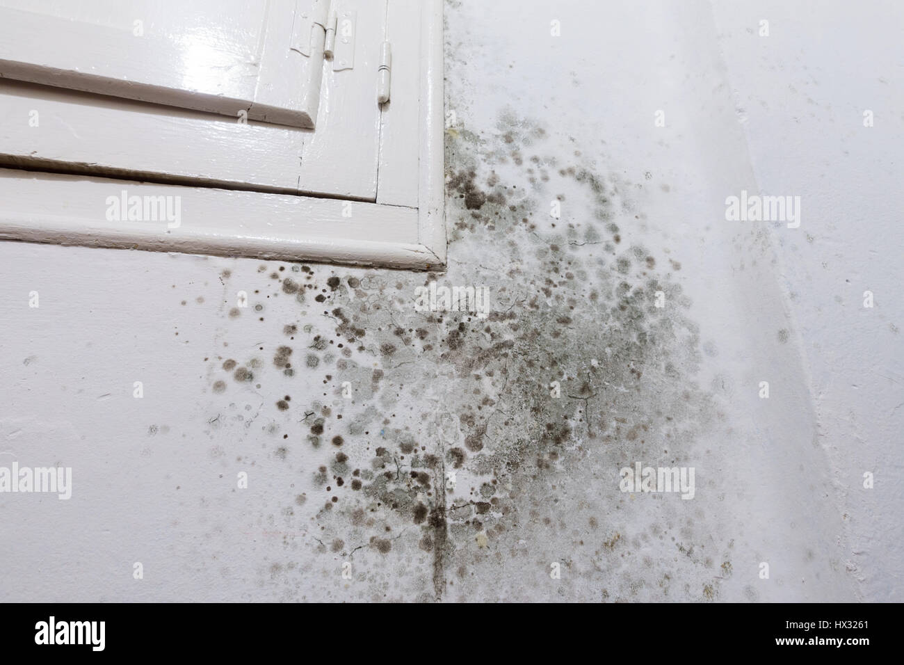 Rising damp hi-res stock photography and images - Alamy