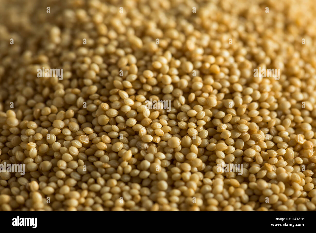 Raw Organic Amaranth Seed Ready to Use in Cooking Stock Photo - Alamy