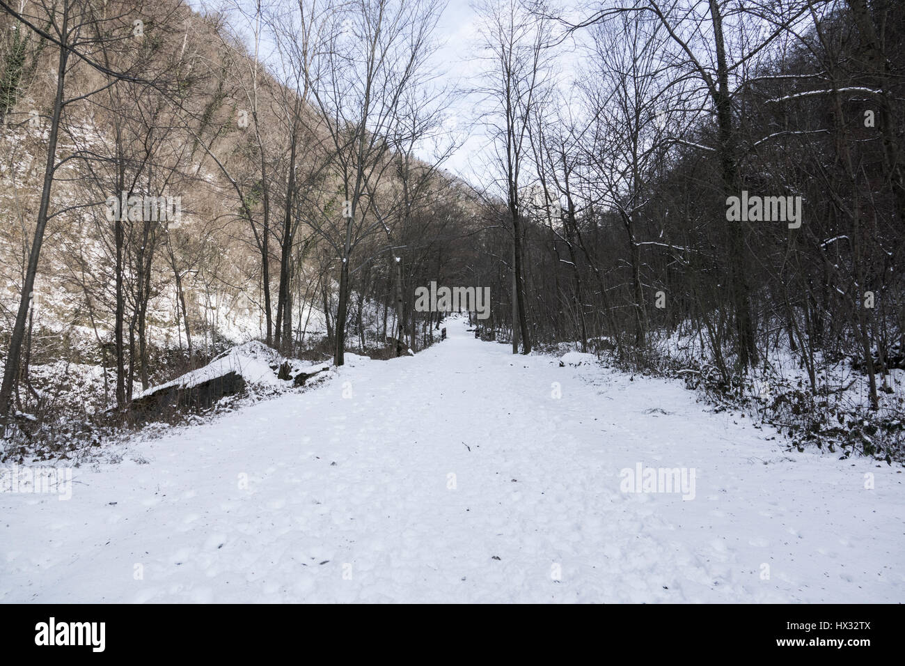 Mountain trail path in a snowy landscape Stock Photo - Alamy