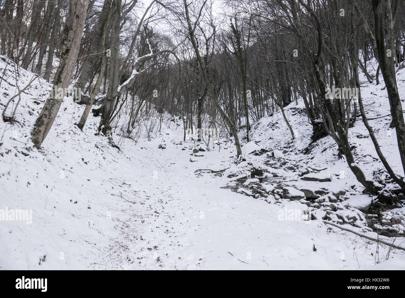 Mountain trail path in a snowy landscape Stock Photo - Alamy
