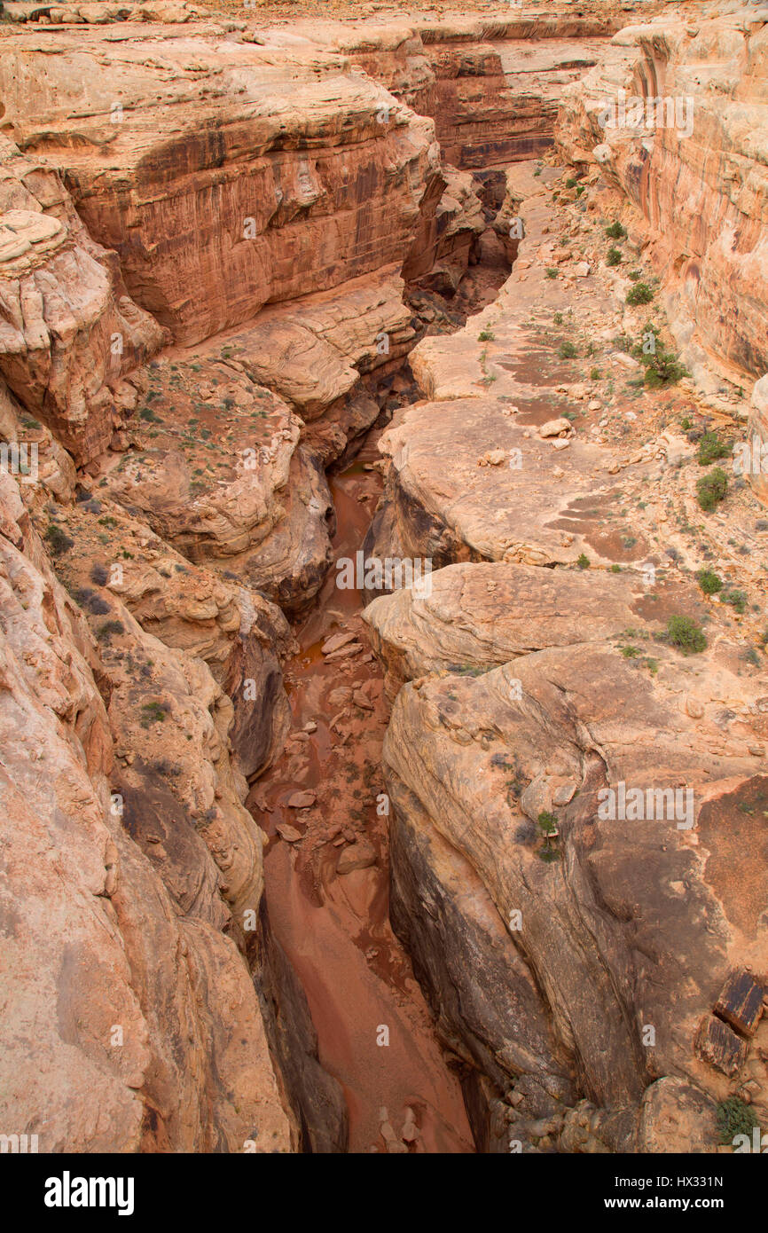 White Canyon, Glen Canyon National Recreation Area, Utah Stock Photo ...