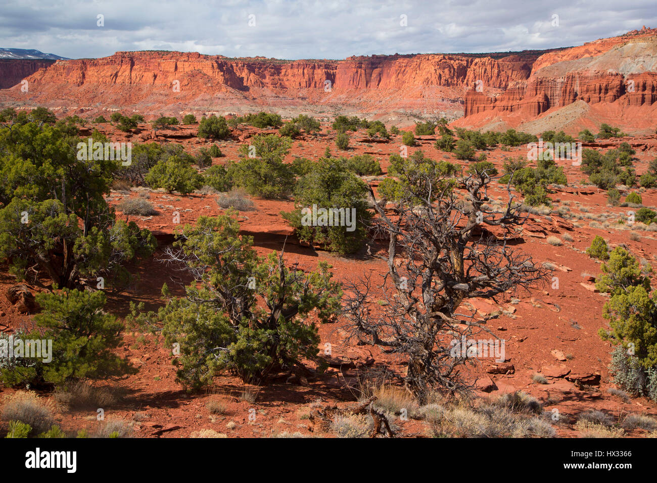 Sunset Point Trail view, Capitol Reef National Park, Utah Stock Photo ...