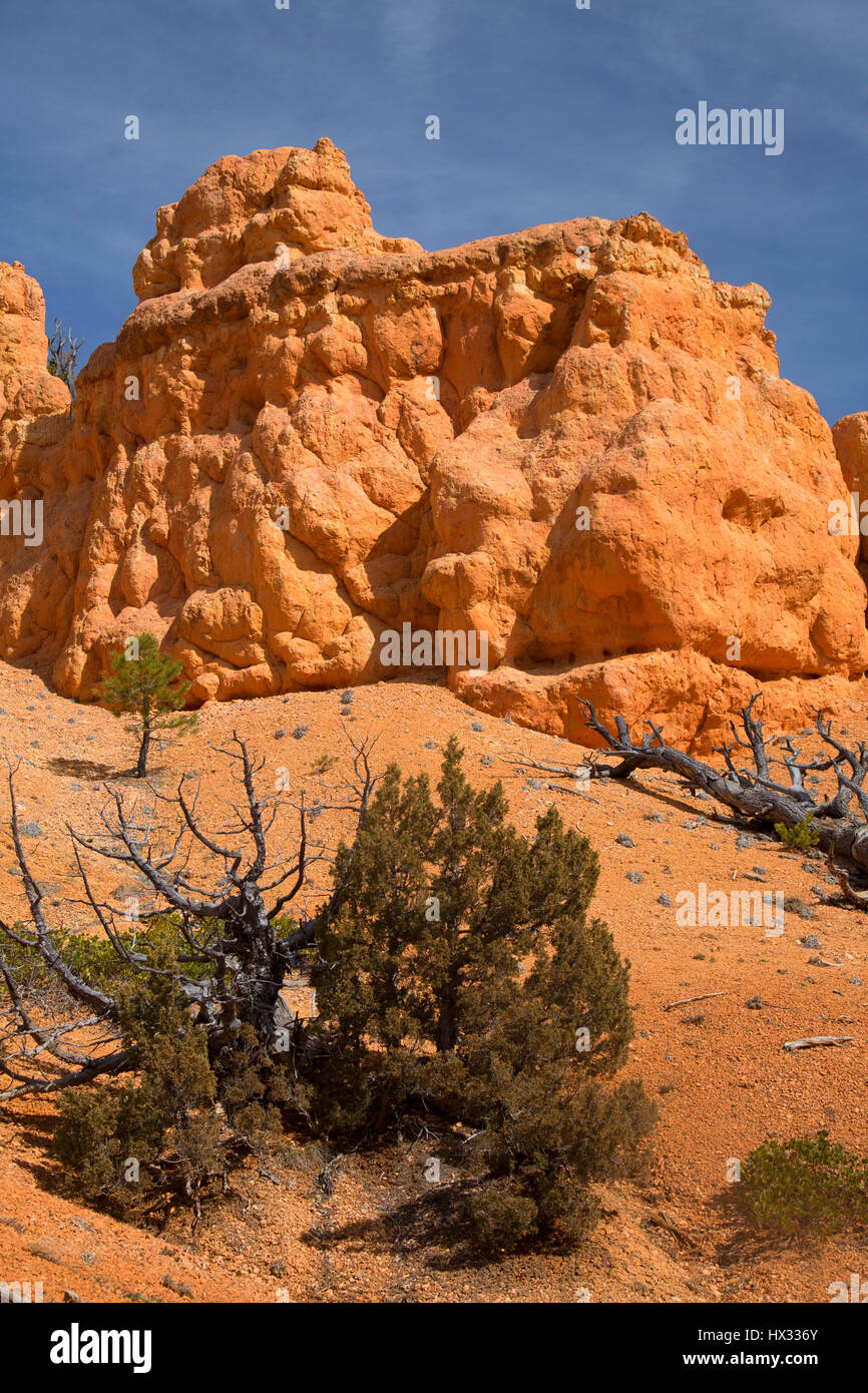 Hollow rock hi-res stock photography and images - Alamy