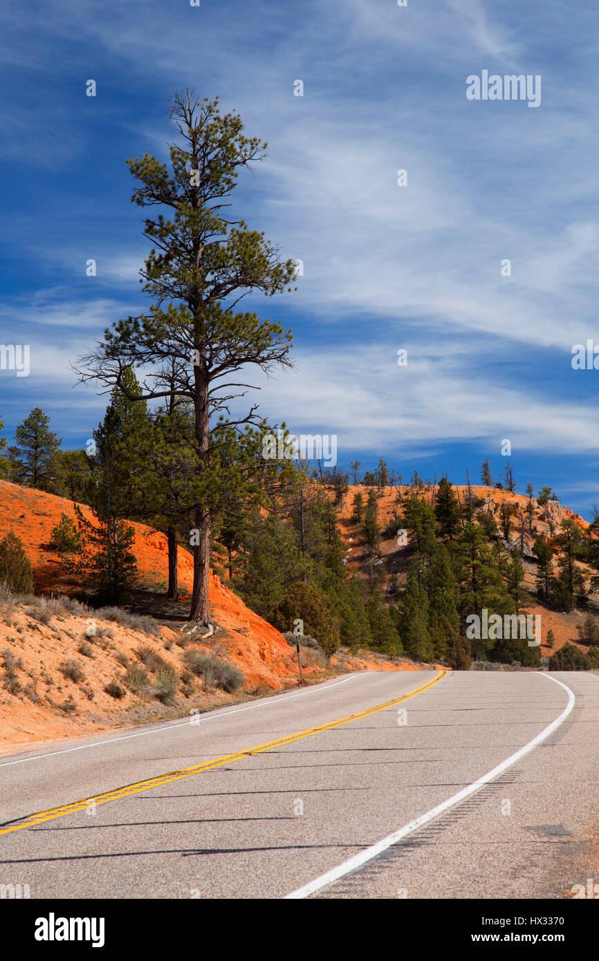 Highway 12 national scenic byway hi-res stock photography and images ...