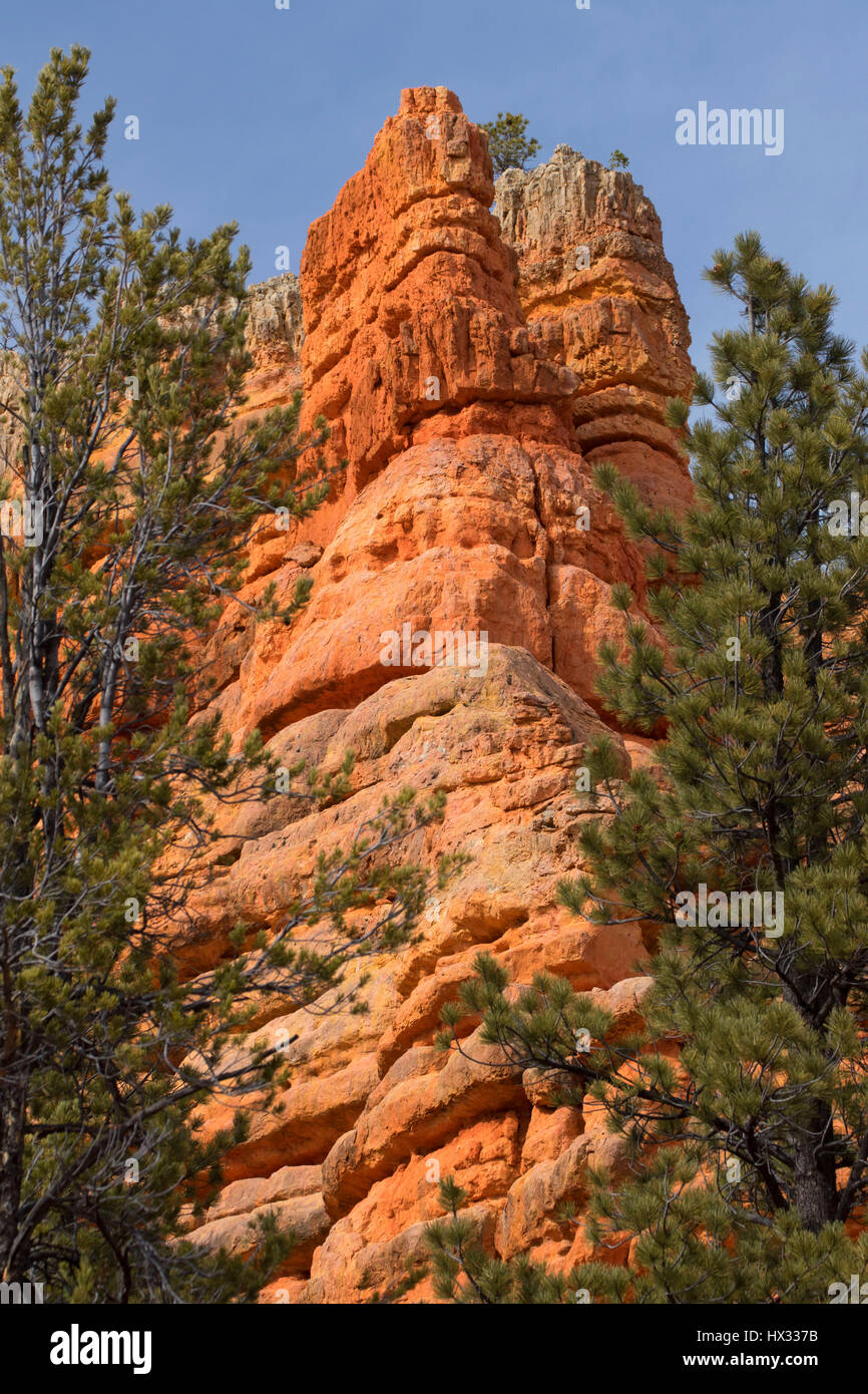 Butch Cassidy Draw in Red Canyon, Dixie National Forest, Highway 12 ...