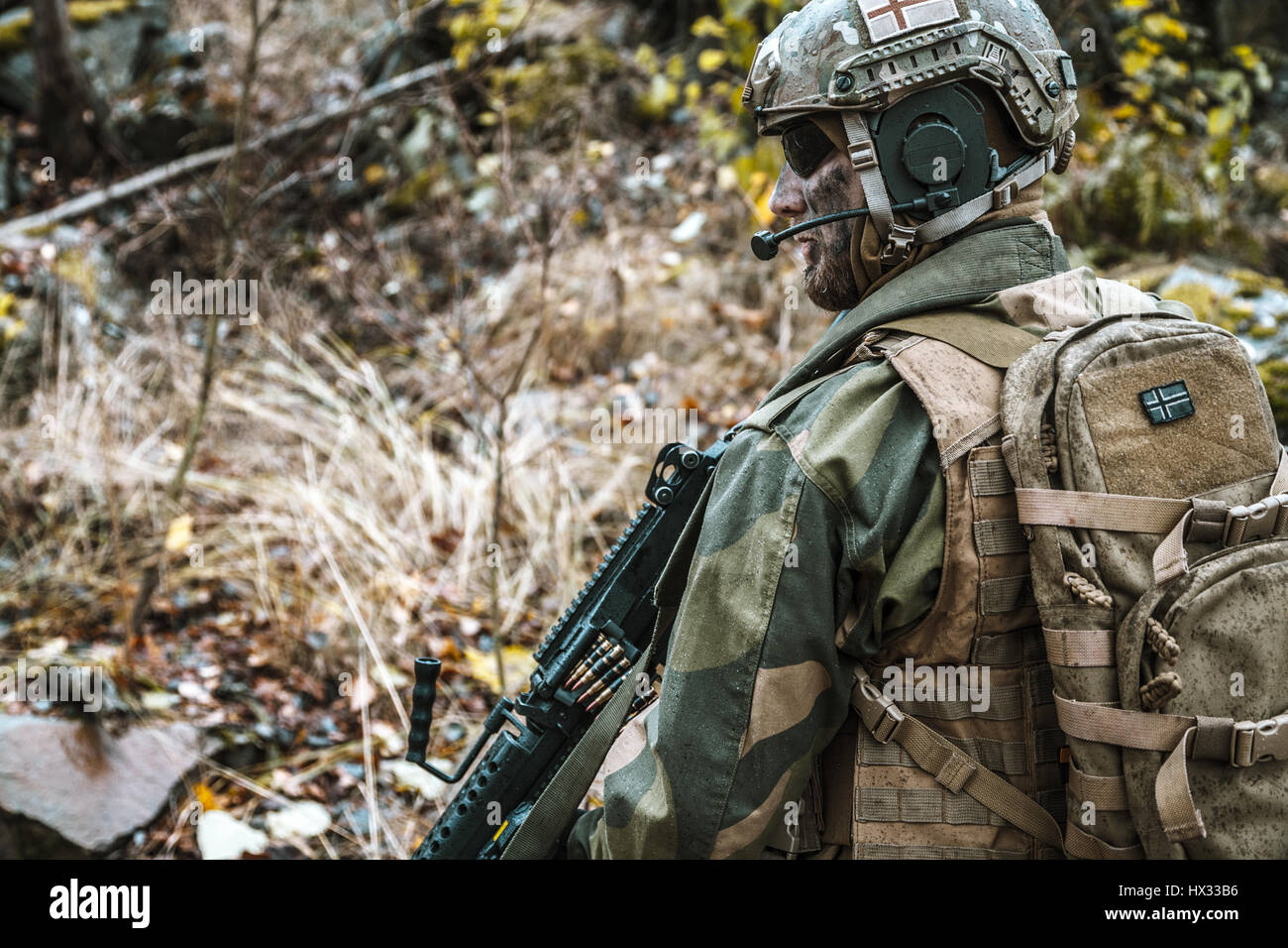 norwegian soldier in the forest Stock Photo - Alamy