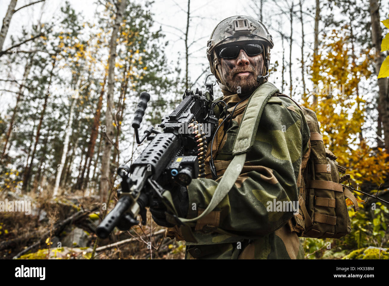 norwegian soldier in the forest Stock Photo - Alamy