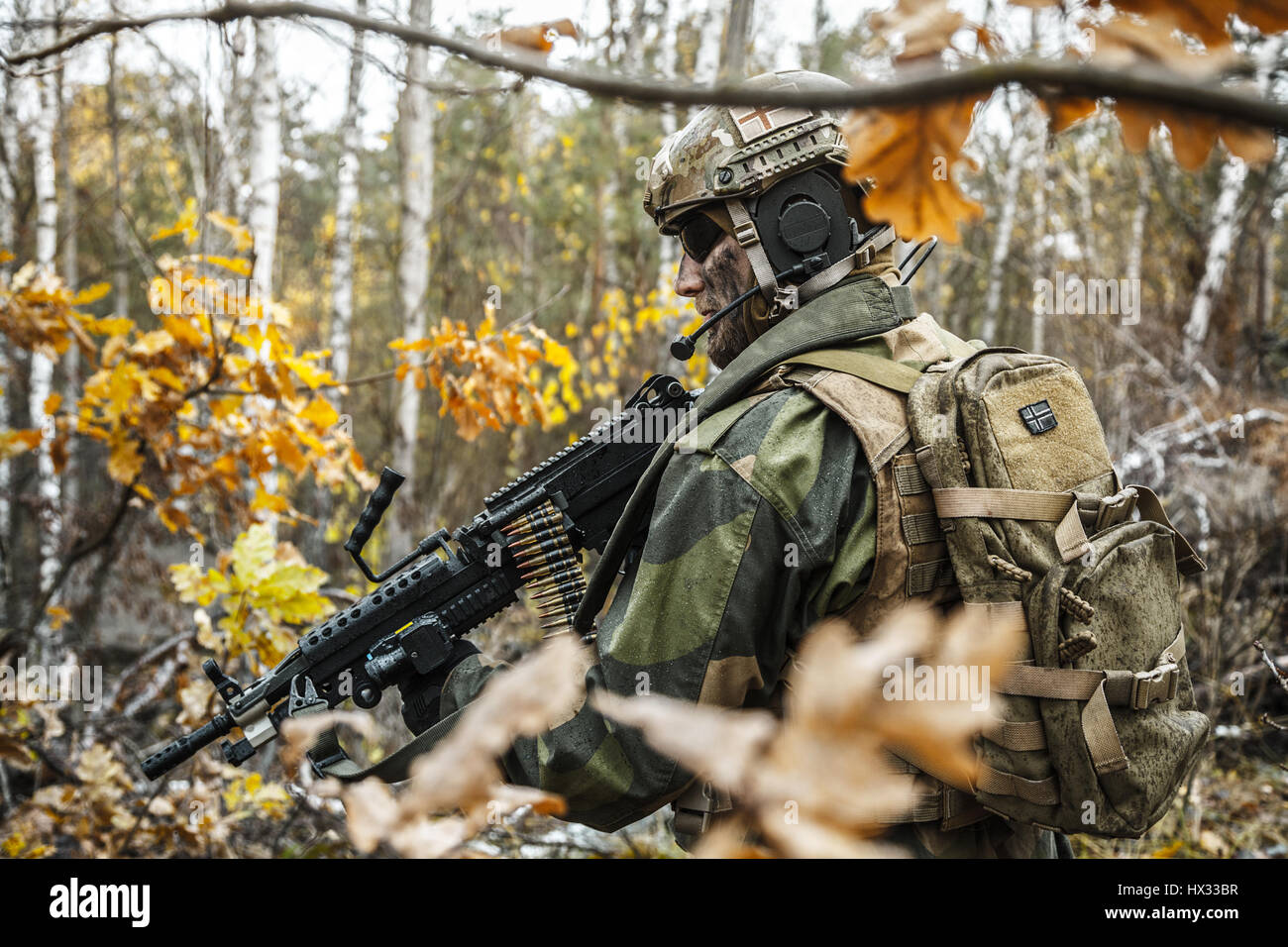 norwegian soldier in the forest Stock Photo - Alamy