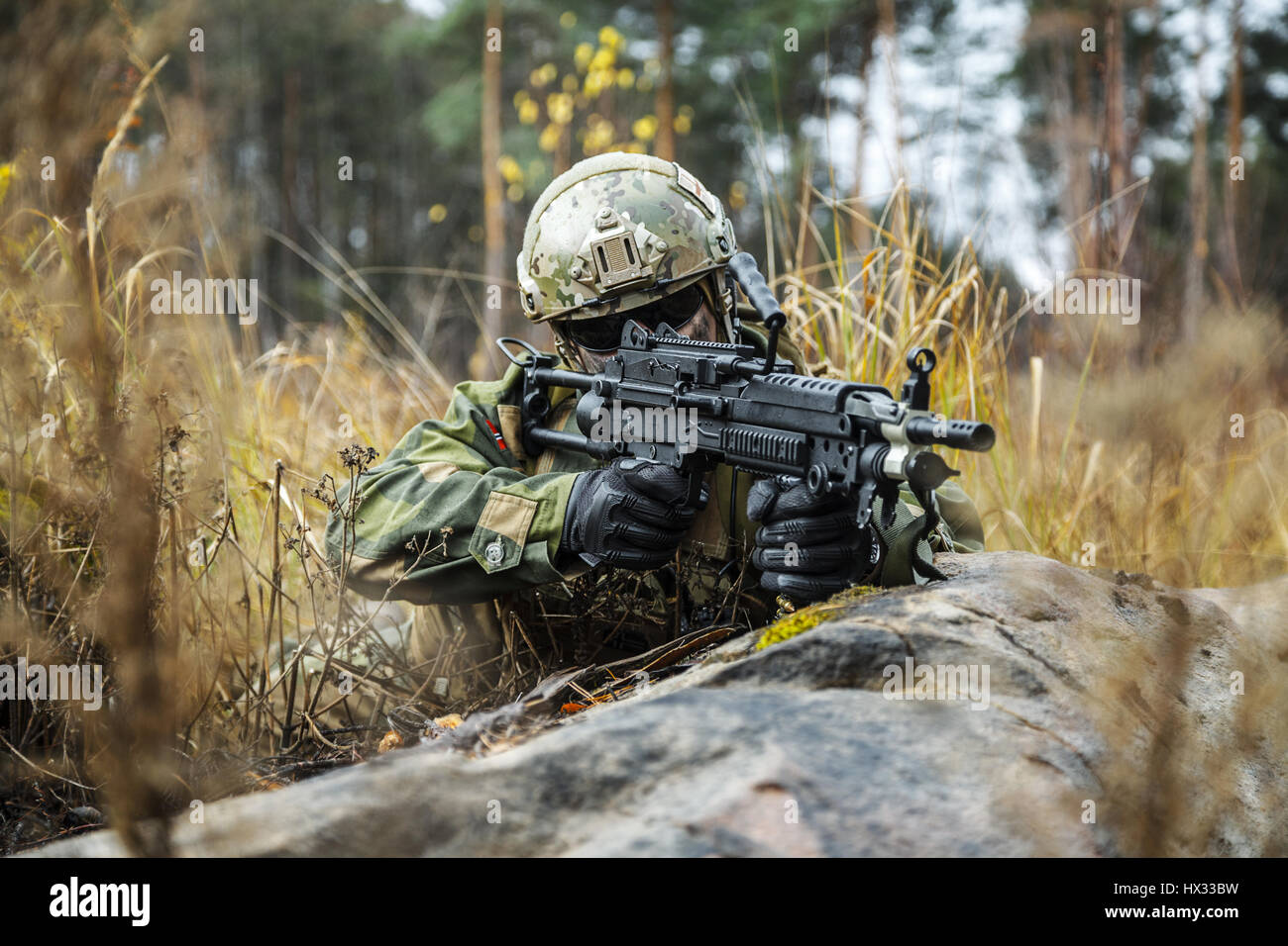 norwegian soldier in the forest Stock Photo - Alamy