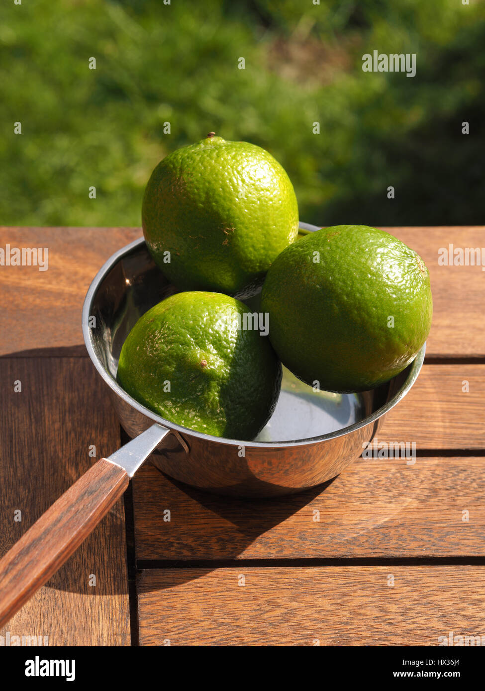 Three fresh organic lime fruits in a steel bowl on a wooden garden ...