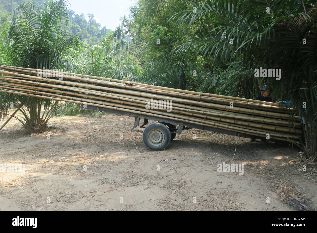 Raft drives hi-res stock photography and images - Alamy