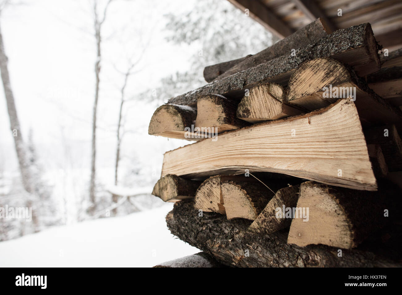 Firewood stacked under a deck during winter in Northern Ontario, Canada ...