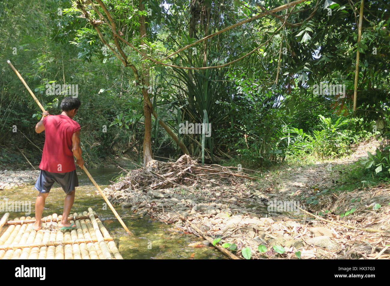 Man, standing on bamboo raft, with bamboo stick in his hand is floating ...